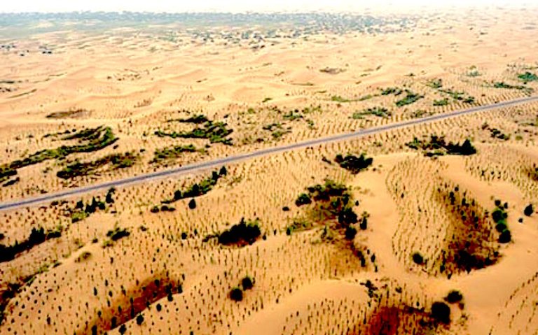 Desertification: Solutions for Ecological Recovery | Voyage Fair Trade